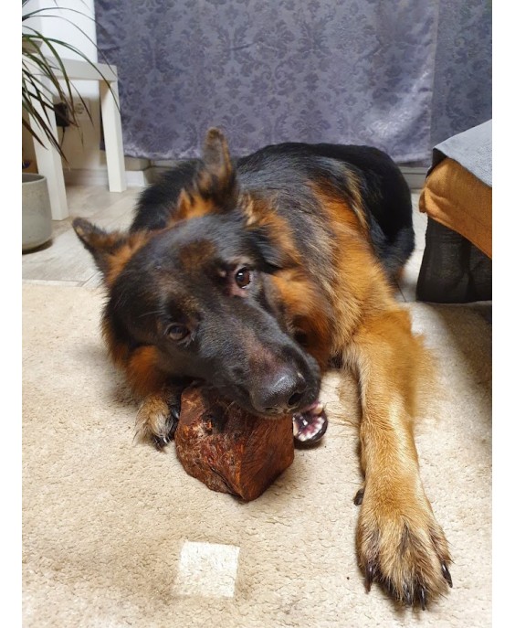 Šaknis kramtymui šunims Origins, XL dydis (750 - 1000 g.)